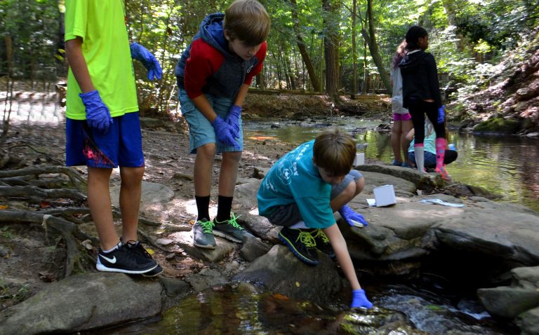 Accreditation Standards